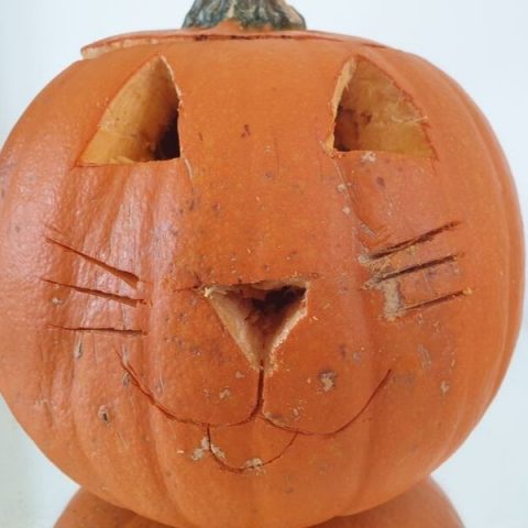 Pumpkin Cat Face for Jack O Lantern - Cat Pumpkin Carving Ideas 2022