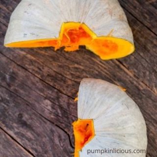 How to Grow Queensland Blue Pumpkins